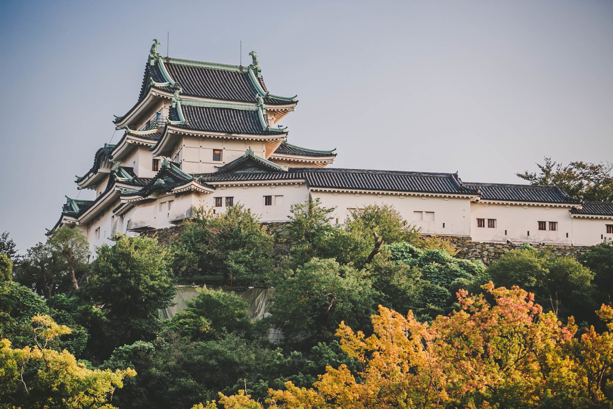 Go around Nankai Railways and watch Red leaves! | Find my Osaka-Japan