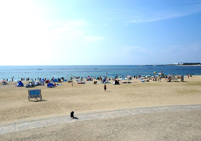 Clam Digging at Nishiki Beach | Find my Osaka-Japan